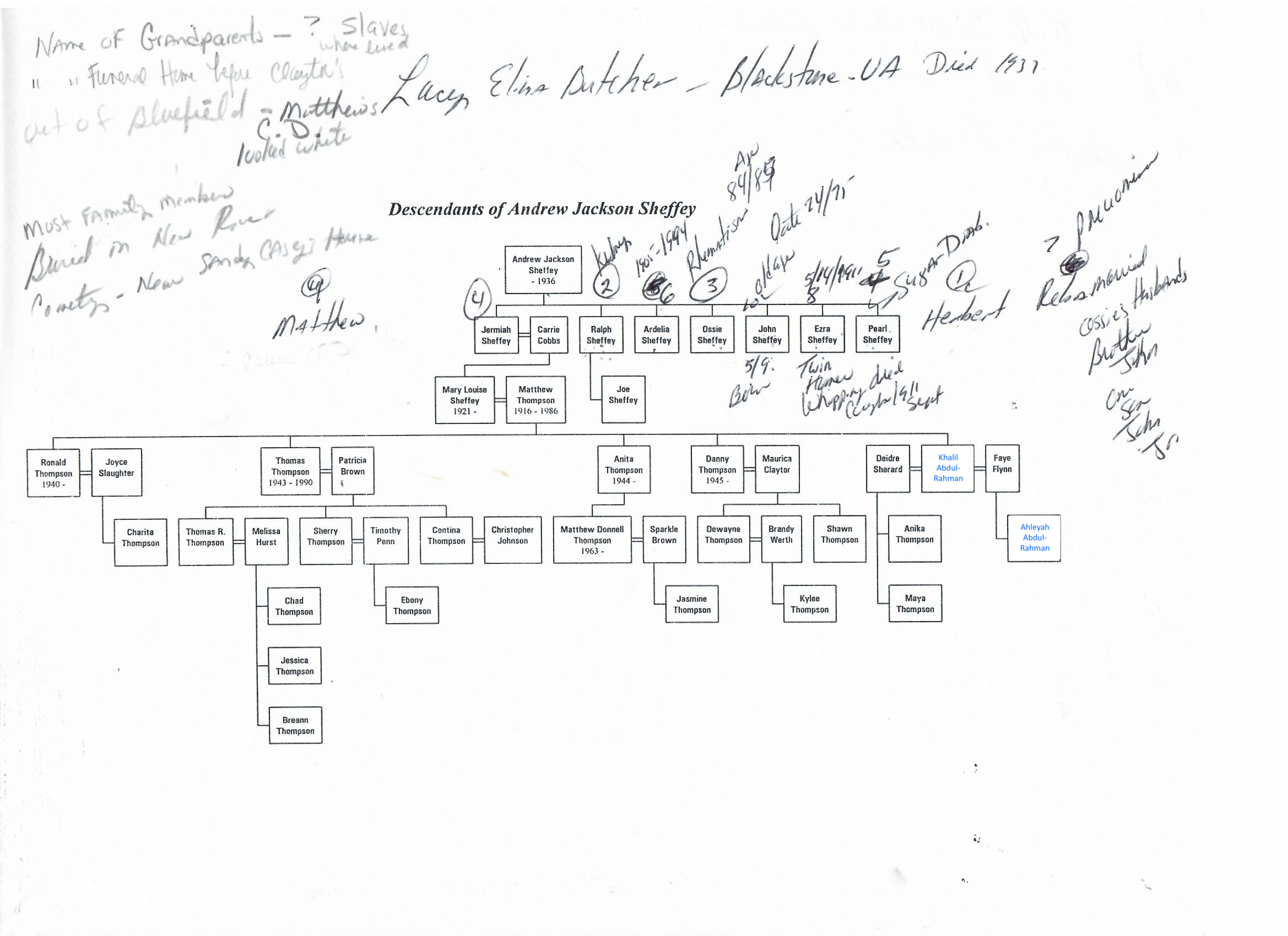 Exploring the Wilson, Cobbs, and Sheffey Family Tree | ShuraForAll